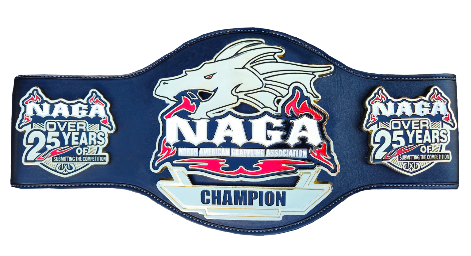 Philadelphia Grappling & BJJ Championship - Philadelphia, PA - NAGA Fighter